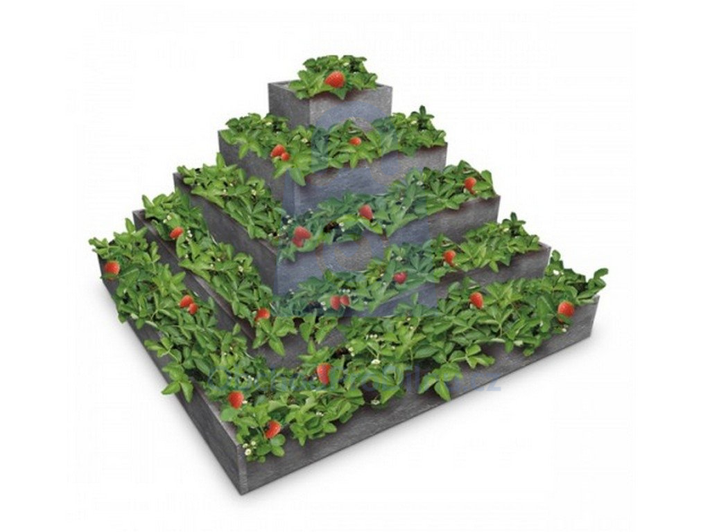 Pyramida na pěstování jahod, plastová | Ferospoj