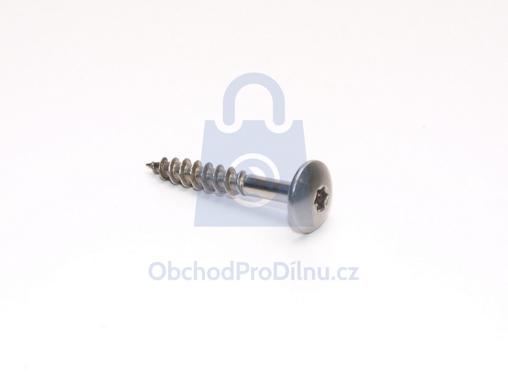 vruty s půlkulatou širokou hlavou TORX, trespo, A2